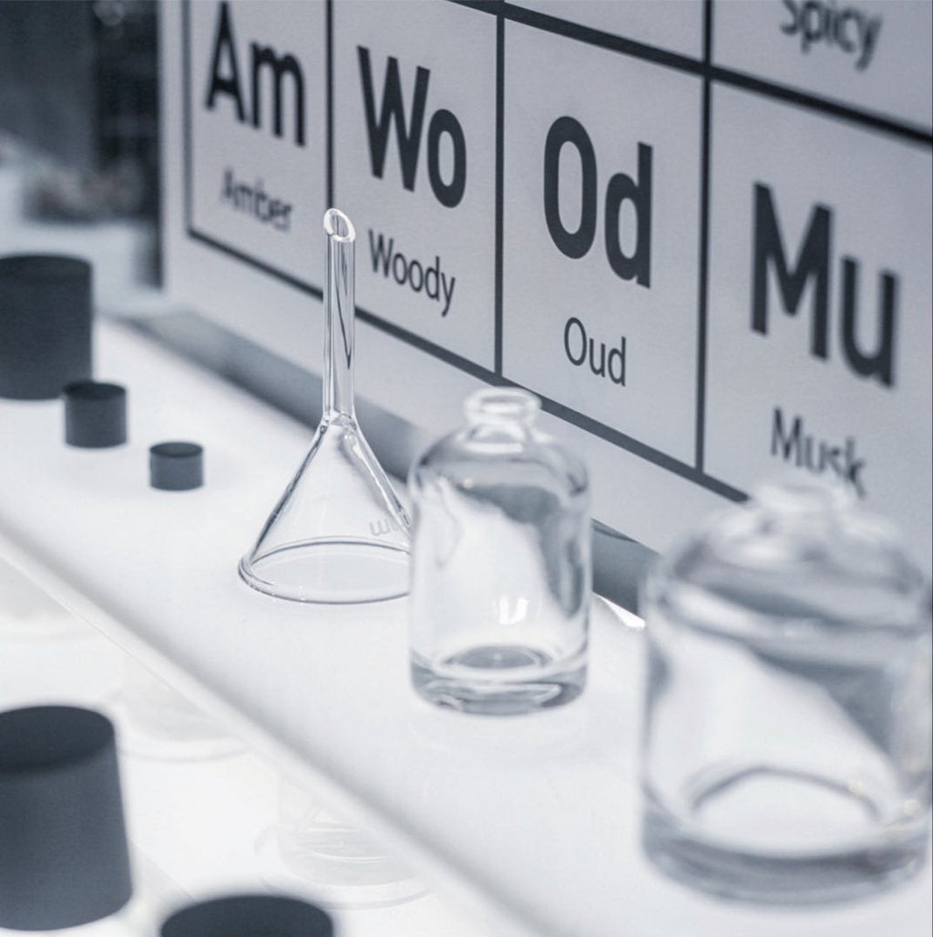 Solid Cologne Discovery Set | Supply Matter